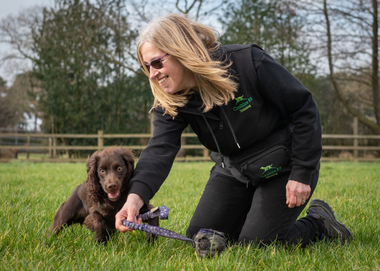 Classes - Cheshire K9 Training